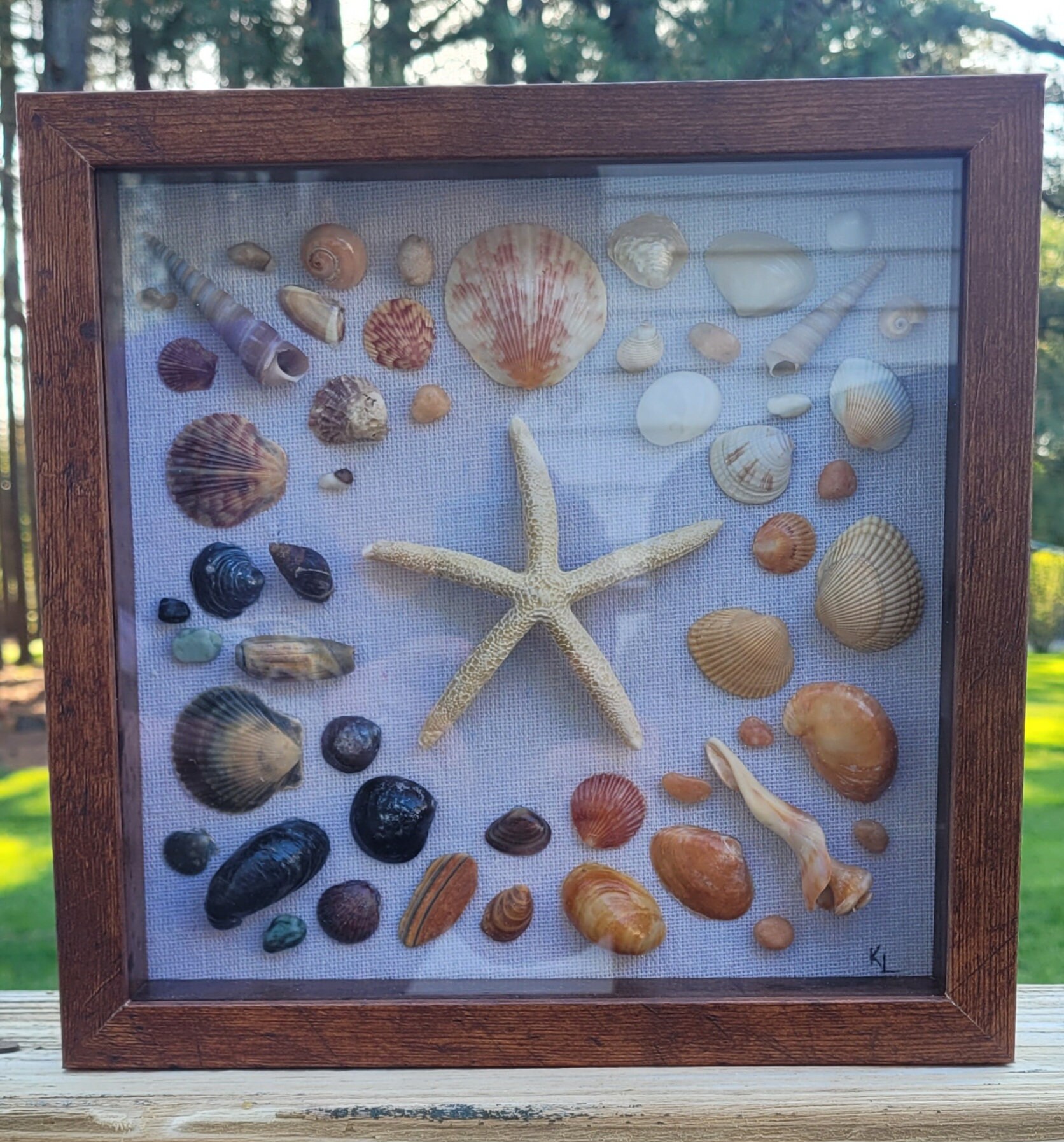 Seashell Collage Coastal Beach Framed Starfish Wall Art - Etsy