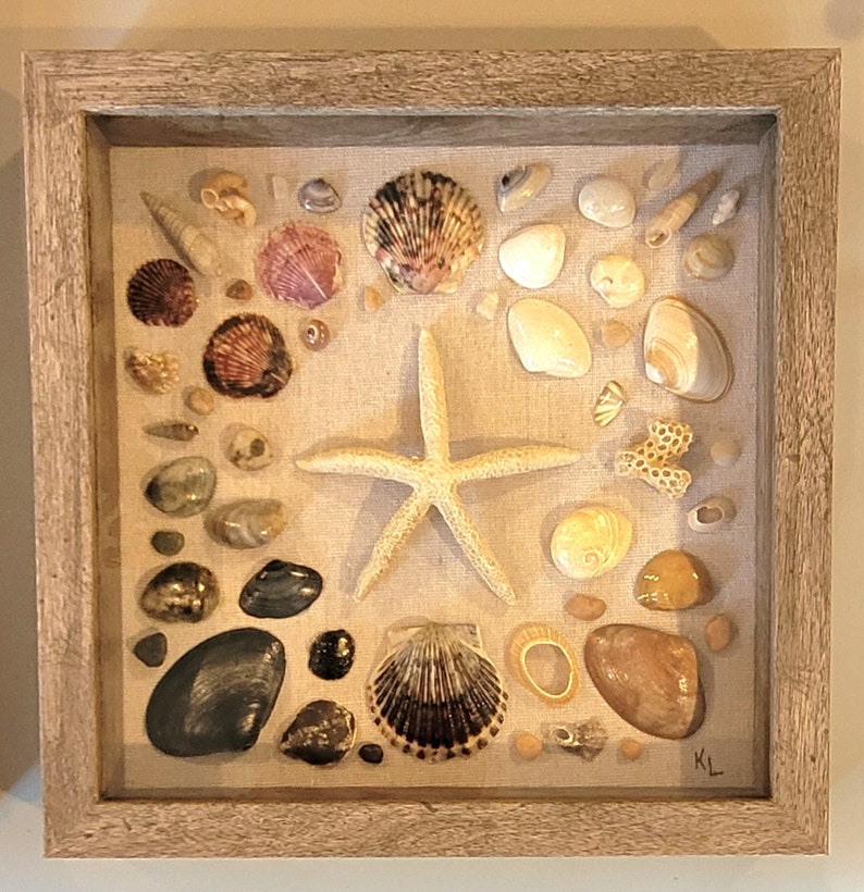 Seashell Collage Coastal Beach Driftwood Look Framed Starfish Wall Art ...