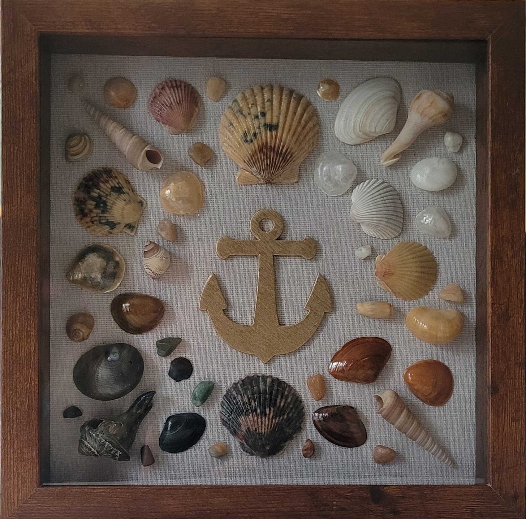 Seashell Collage Coastal Beach Framed Anchor Wall Art - Etsy