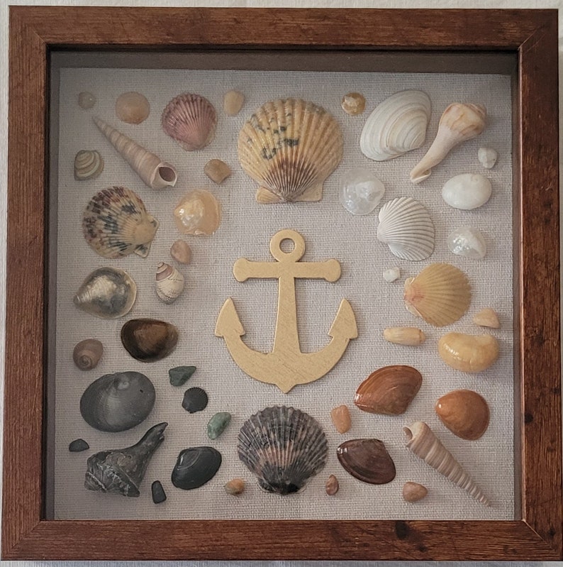 Seashell Collage Coastal Beach Framed Anchor Wall Art - Etsy
