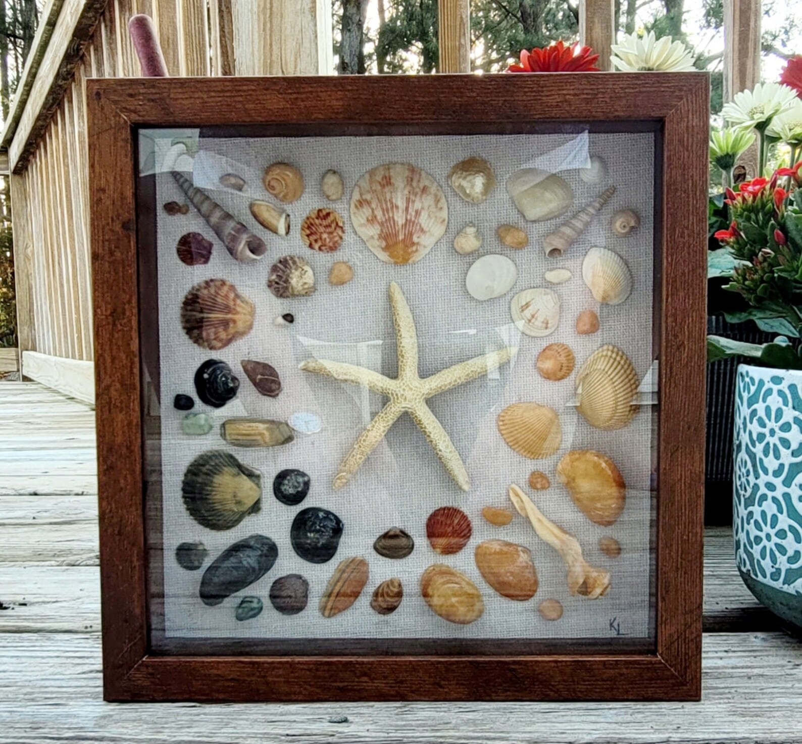 Seashell Collage Coastal Beach Framed Starfish Wall Art - Etsy