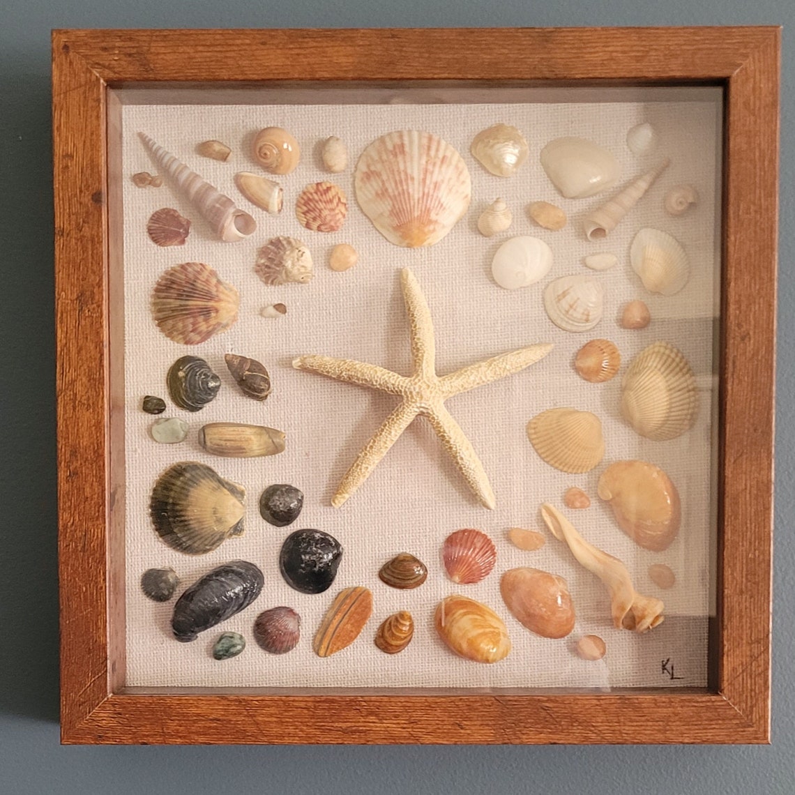 Seashell Collage Coastal Beach Framed Starfish Wall Art - Etsy