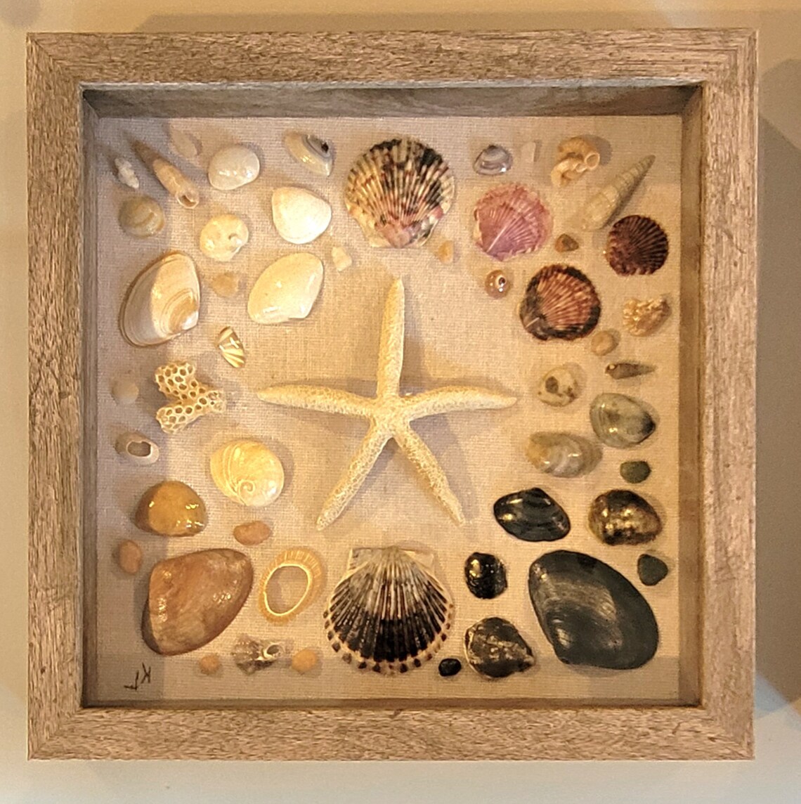 Seashell Collage Coastal Beach Driftwood Look Framed Starfish Wall Art ...