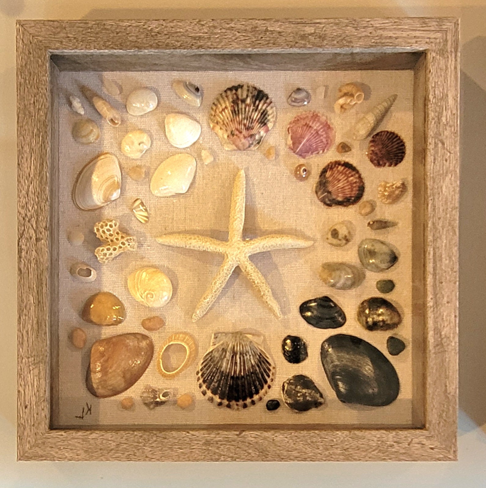 Seashell Collage Coastal Beach Driftwood Look Framed Starfish Wall Art ...