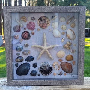 Seashell Collage Coastal Beach Driftwood Look Framed Starfish Wall Art ...