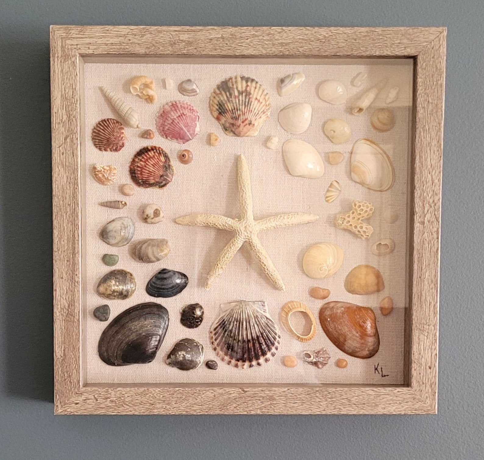 Seashell Collage Coastal Beach Driftwood Look Framed Starfish Wall Art ...