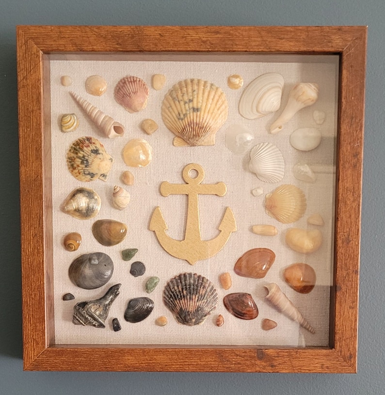 Seashell Collage Coastal Beach Framed Anchor Wall Art - Etsy