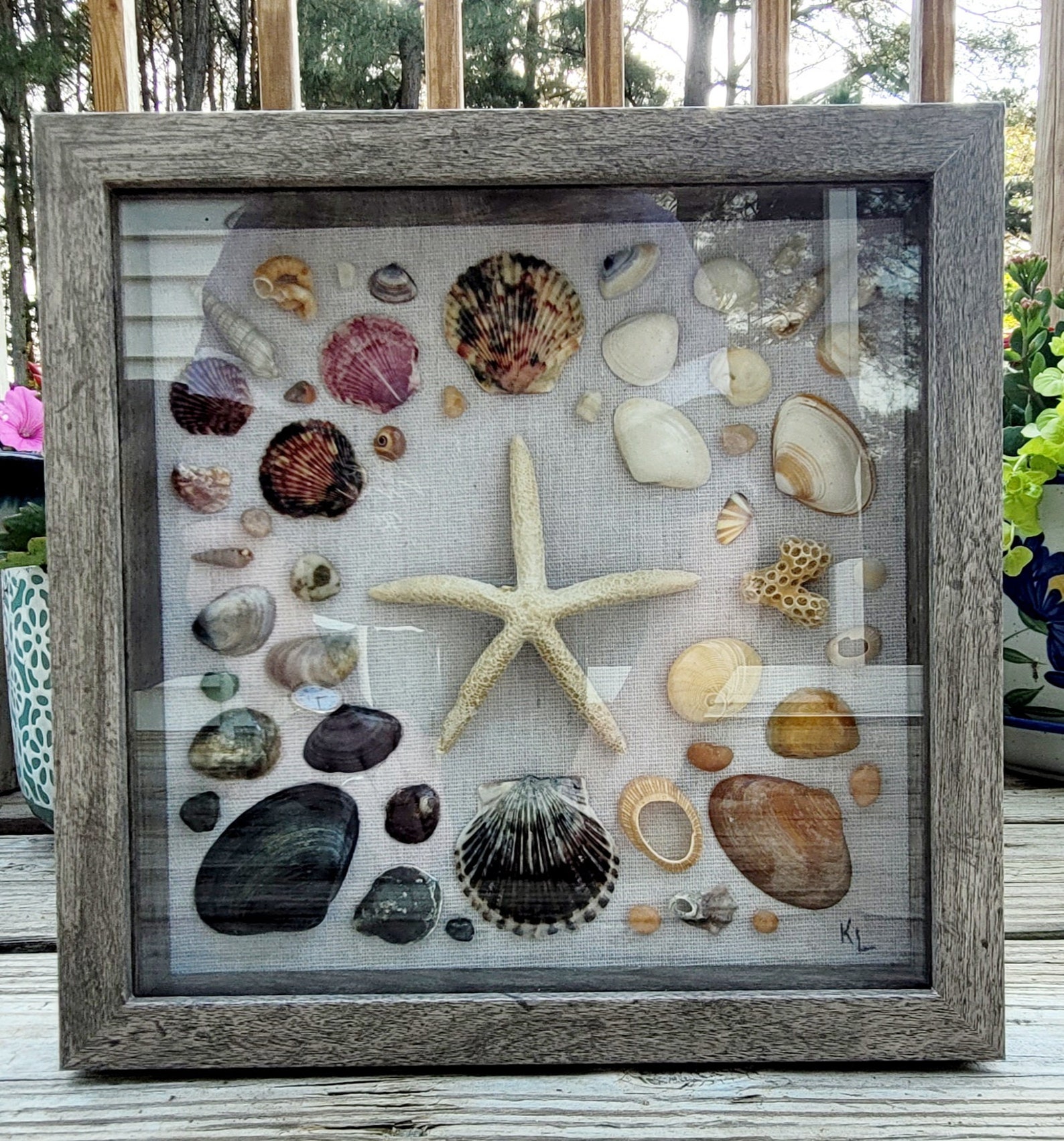 Seashell Collage Coastal Beach Driftwood Look Framed Starfish Wall Art ...