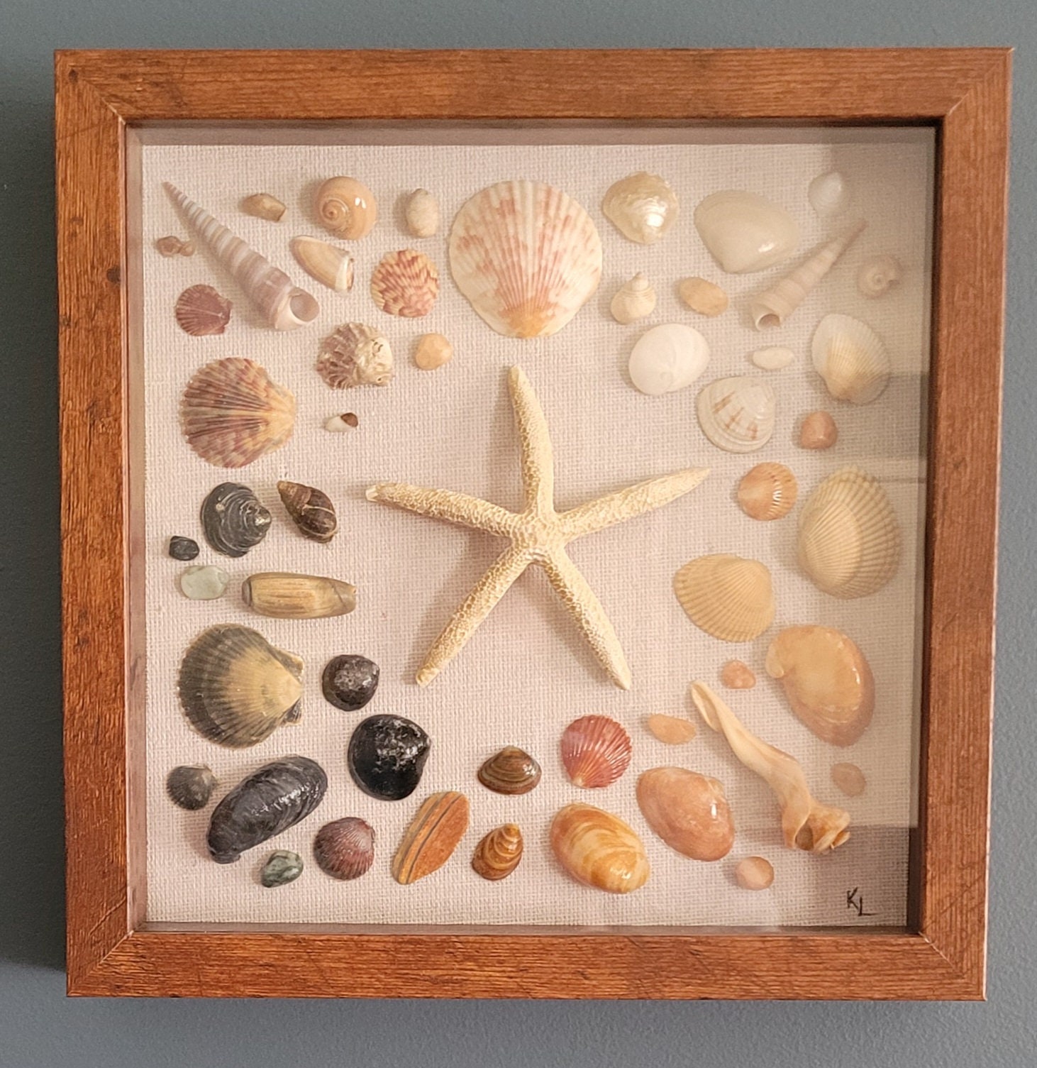 Seashell Collage Coastal Beach Framed Starfish Wall Art - Etsy