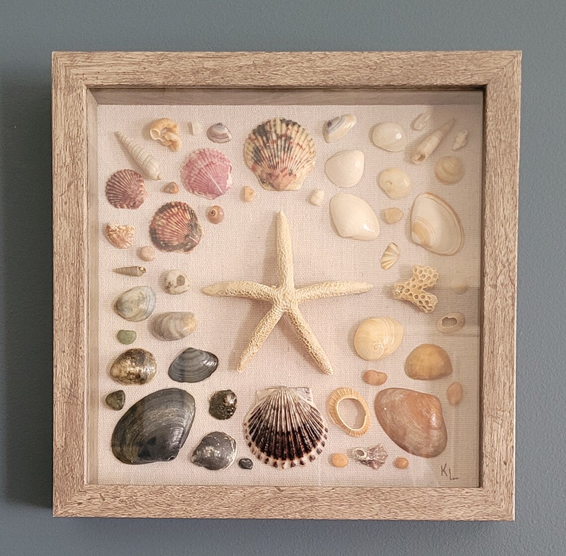 Seashell Collage Coastal Beach Driftwood Look Framed Starfish Wall Art ...