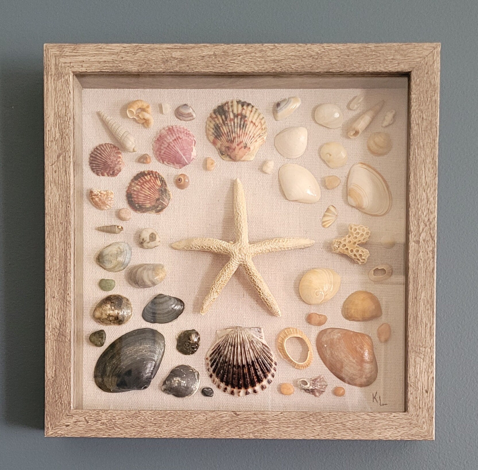 Seashell Collage Coastal Beach Driftwood Look Framed Starfish Wall Art ...