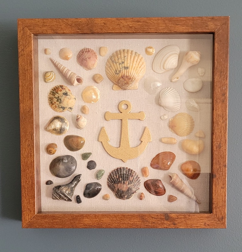Seashell Collage Coastal Beach Framed Anchor Wall Art - Etsy