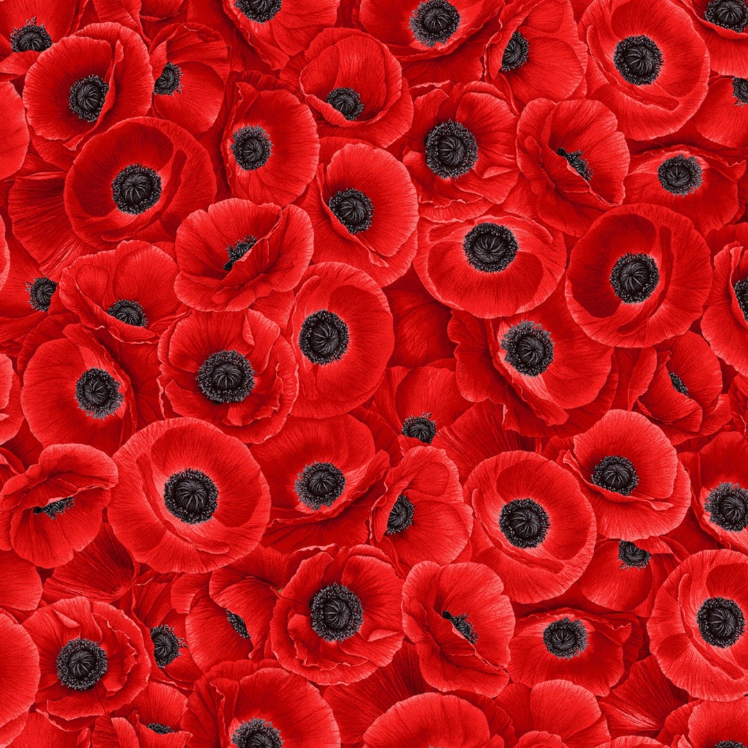 Packed Poppy Vibrant Red on Black Cotton Fabric Timeless - Etsy
