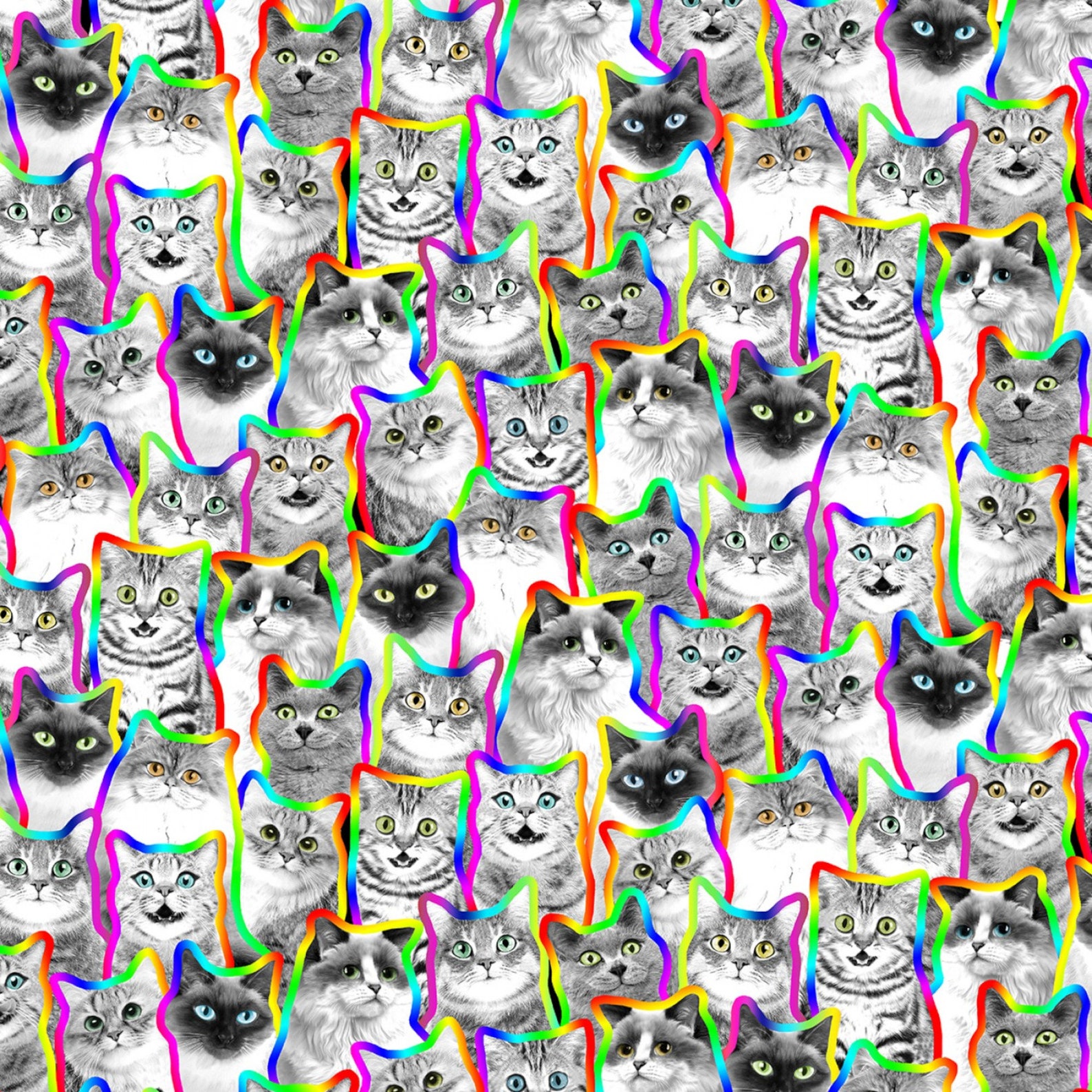 Multi Neon Outline Black and White Cats C8585-MULT - Etsy