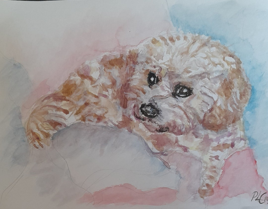 Cavapoo Print Cavapoo Cute Cavapoo Wall Art Cuddly Cavapoo - Etsy UK