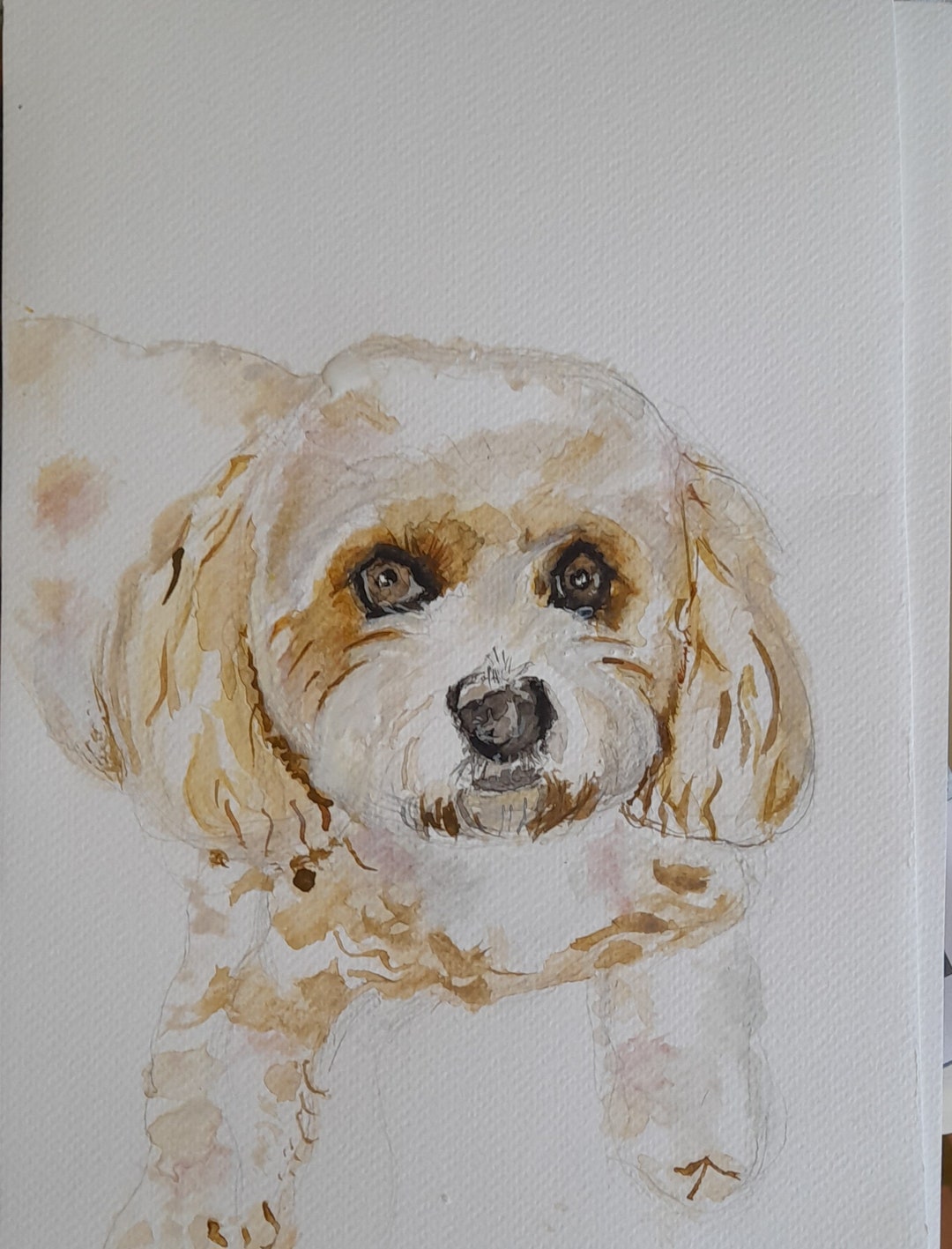 Cavapoo Print Cute Cavapoo Open Edition Print Wall Art Cuddly Cavapoo ...