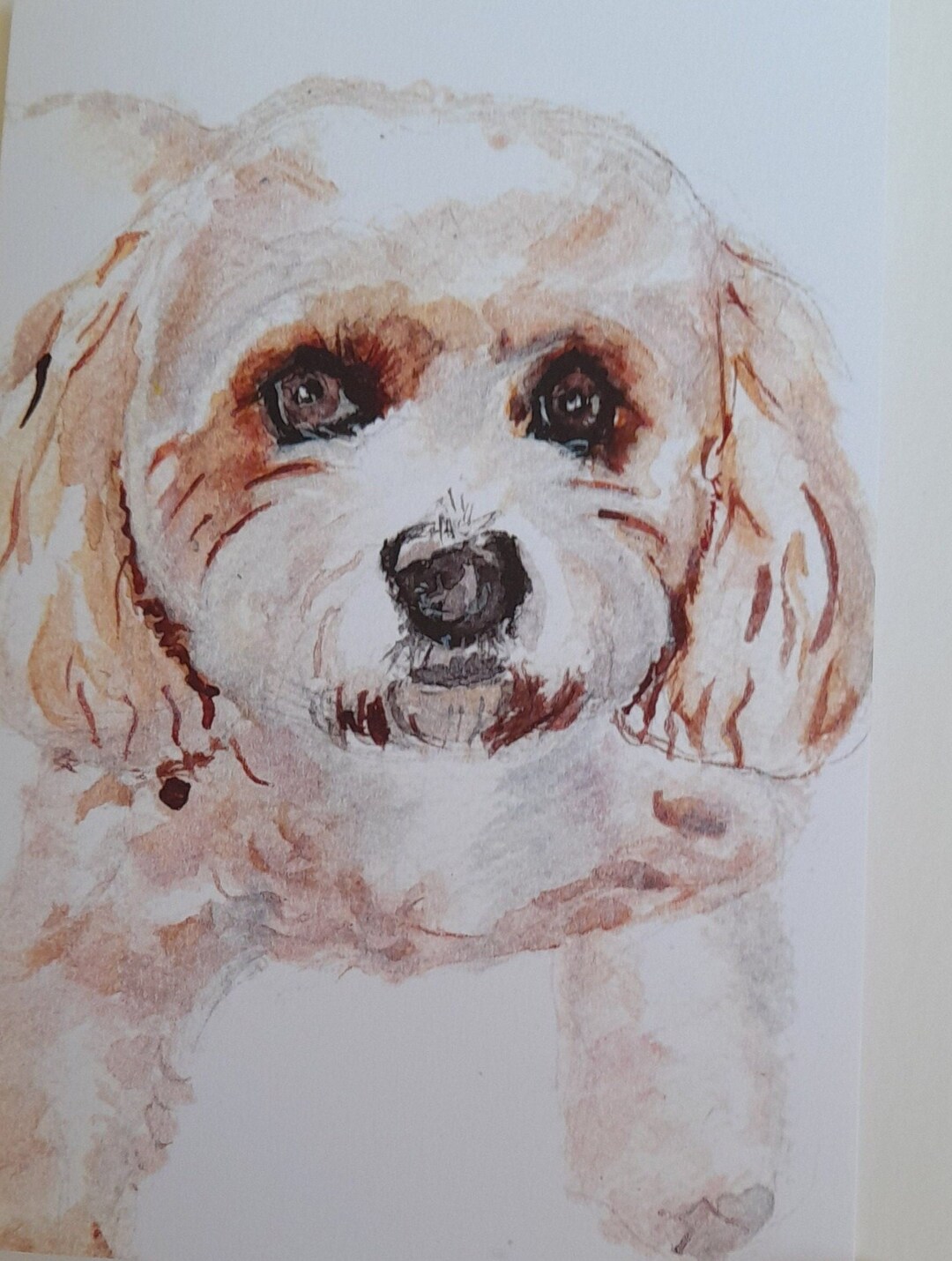 Cavapoo Card, Watercolor Dog Portrait, Blank Inside - Etsy UK