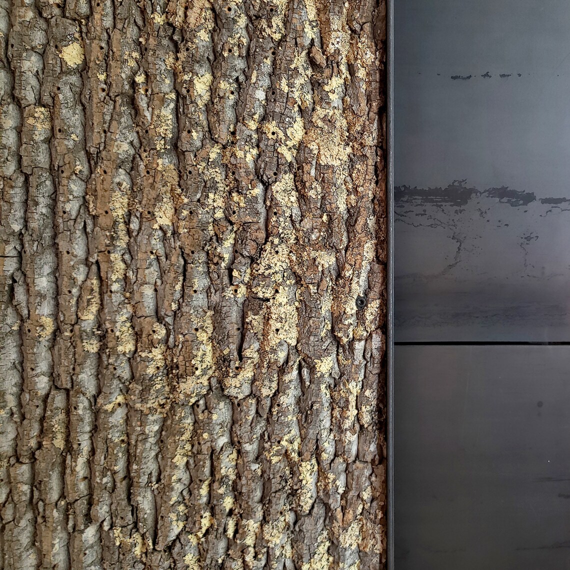Smartbark Interactive Wall Panel | Etsy