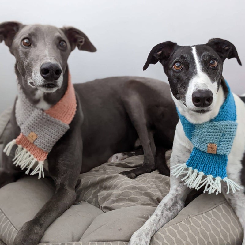 Knitted Dog Scarf - Etsy