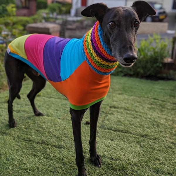 Greyhound Snood - Etsy