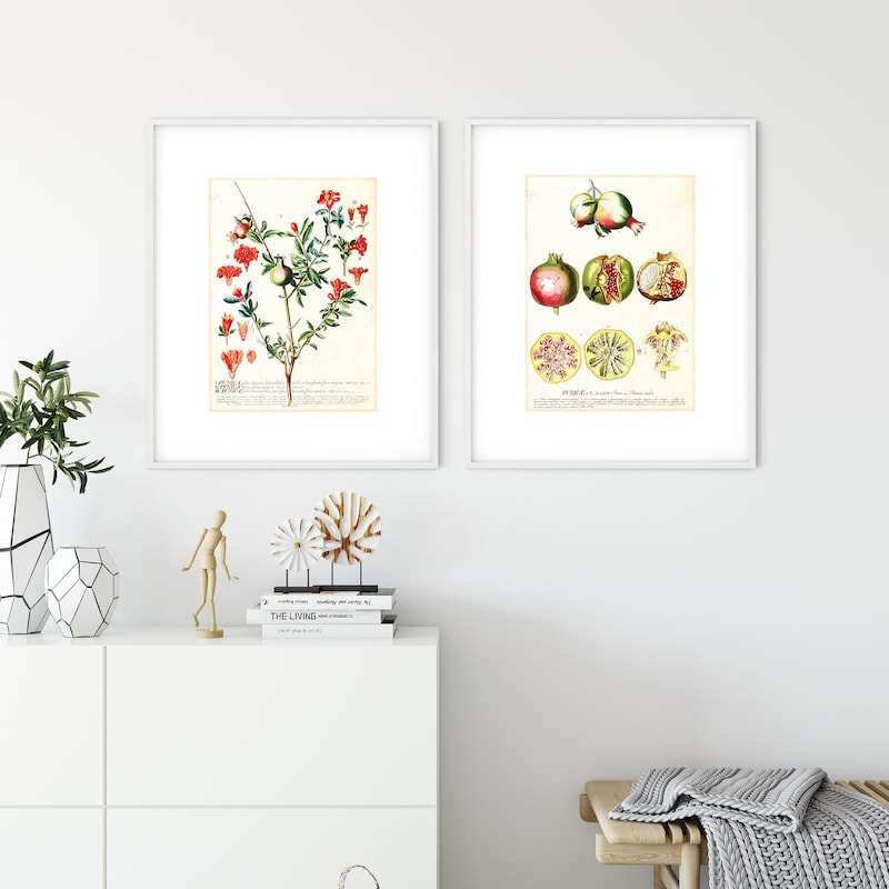 Botanical Poster - Etsy