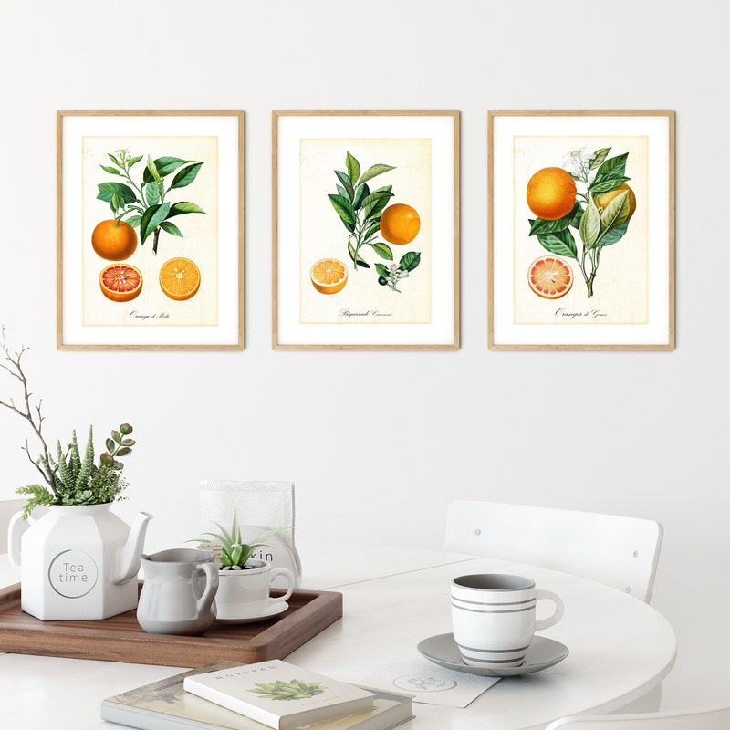 Citrus Print - Etsy
