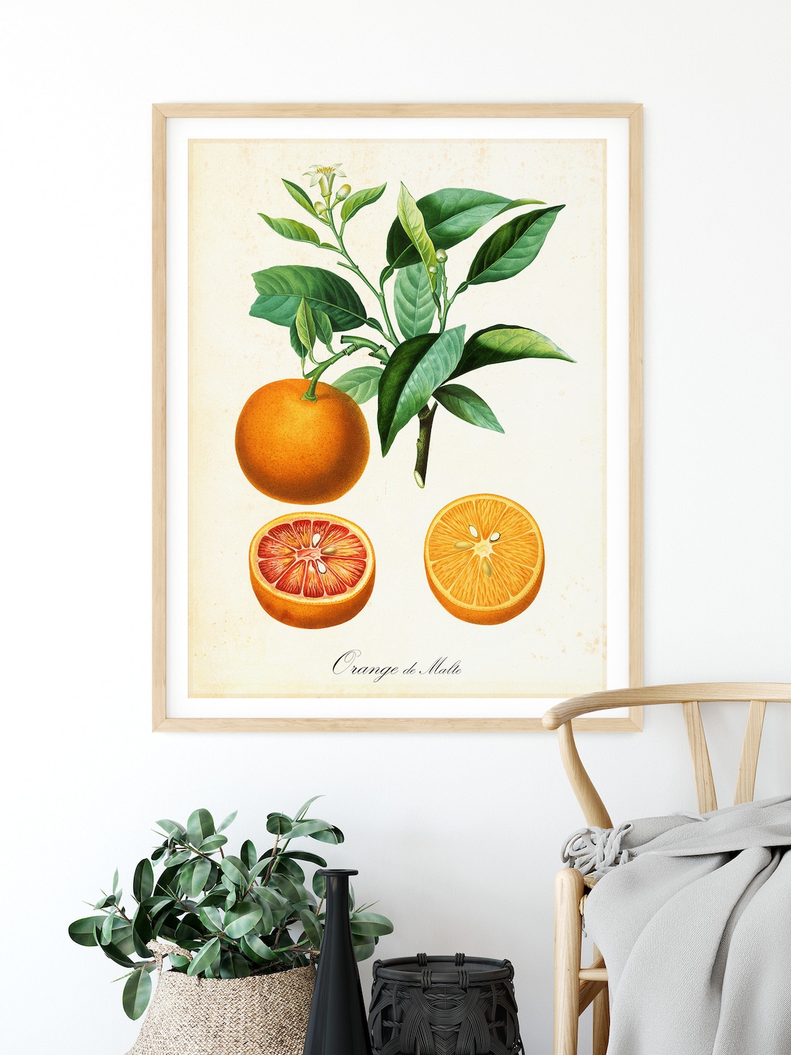 Orange Printable Wall Art Fruit Print Citrus Botanical | Etsy