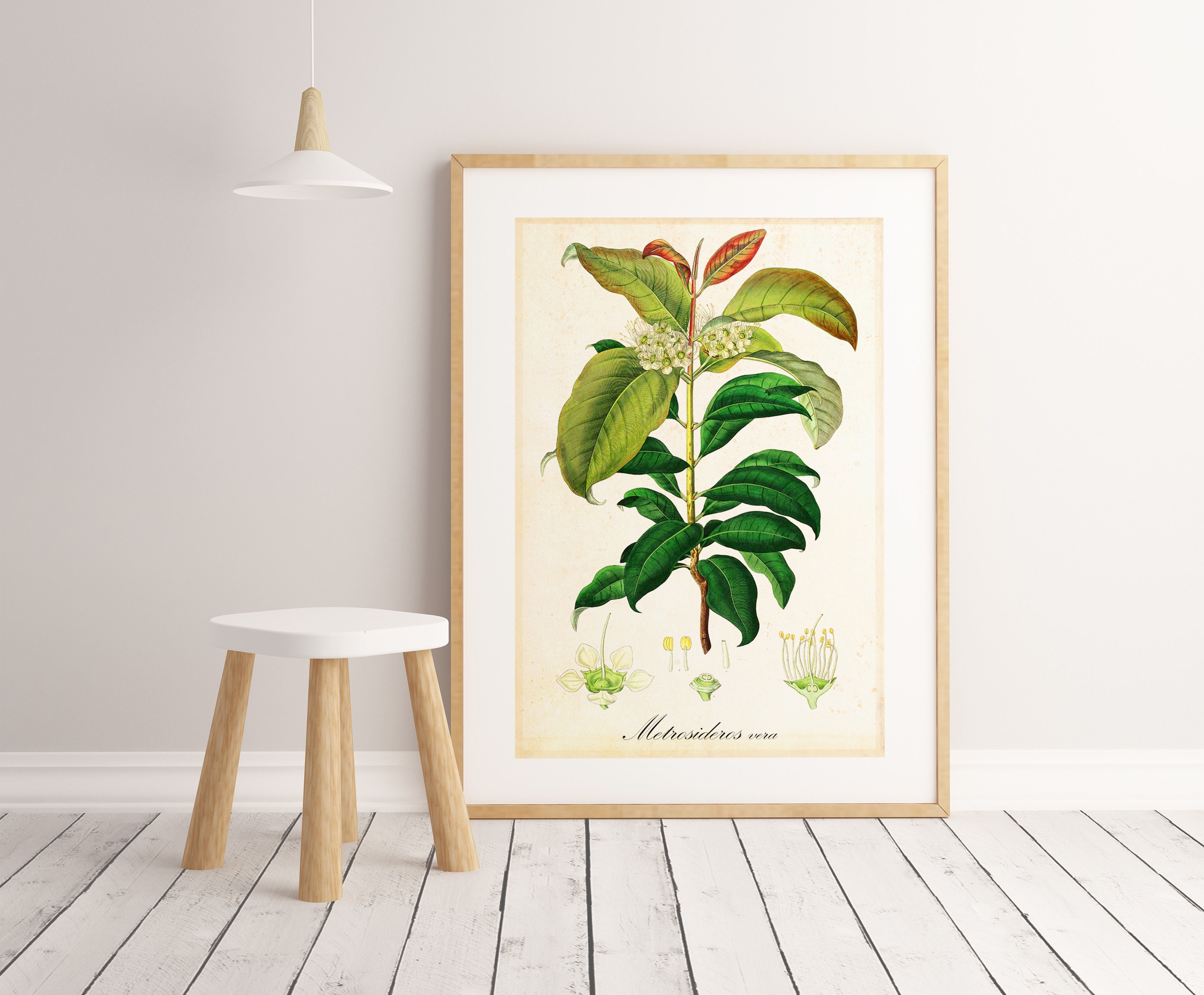 Ohia Tree Branch Printable Wall Art Vintage Botanical | Etsy