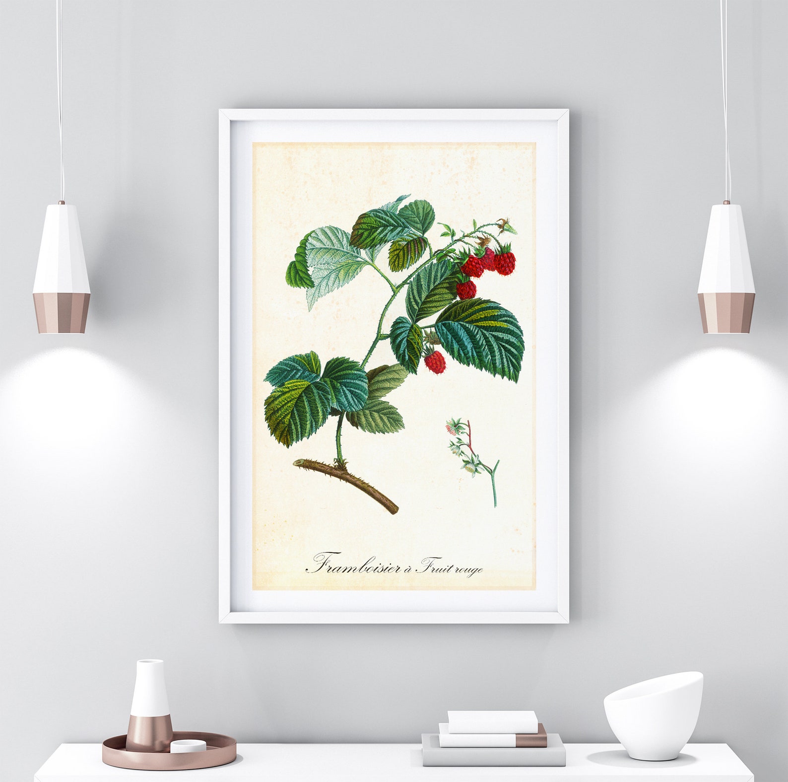 Raspberry Printable Wall Art, Vintage Botanical Raspberry Poster, Berry ...