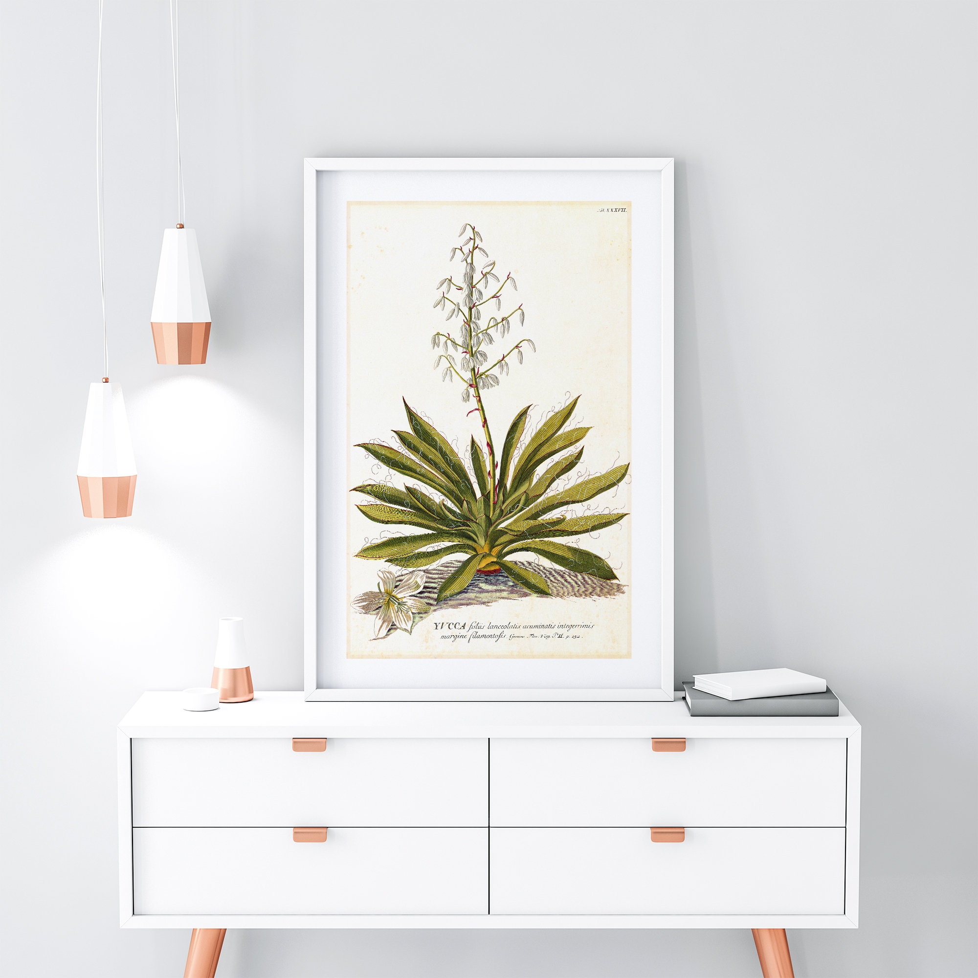 Yucca Printable Wall Art Vintage Botanical Yucca filamentosa | Etsy
