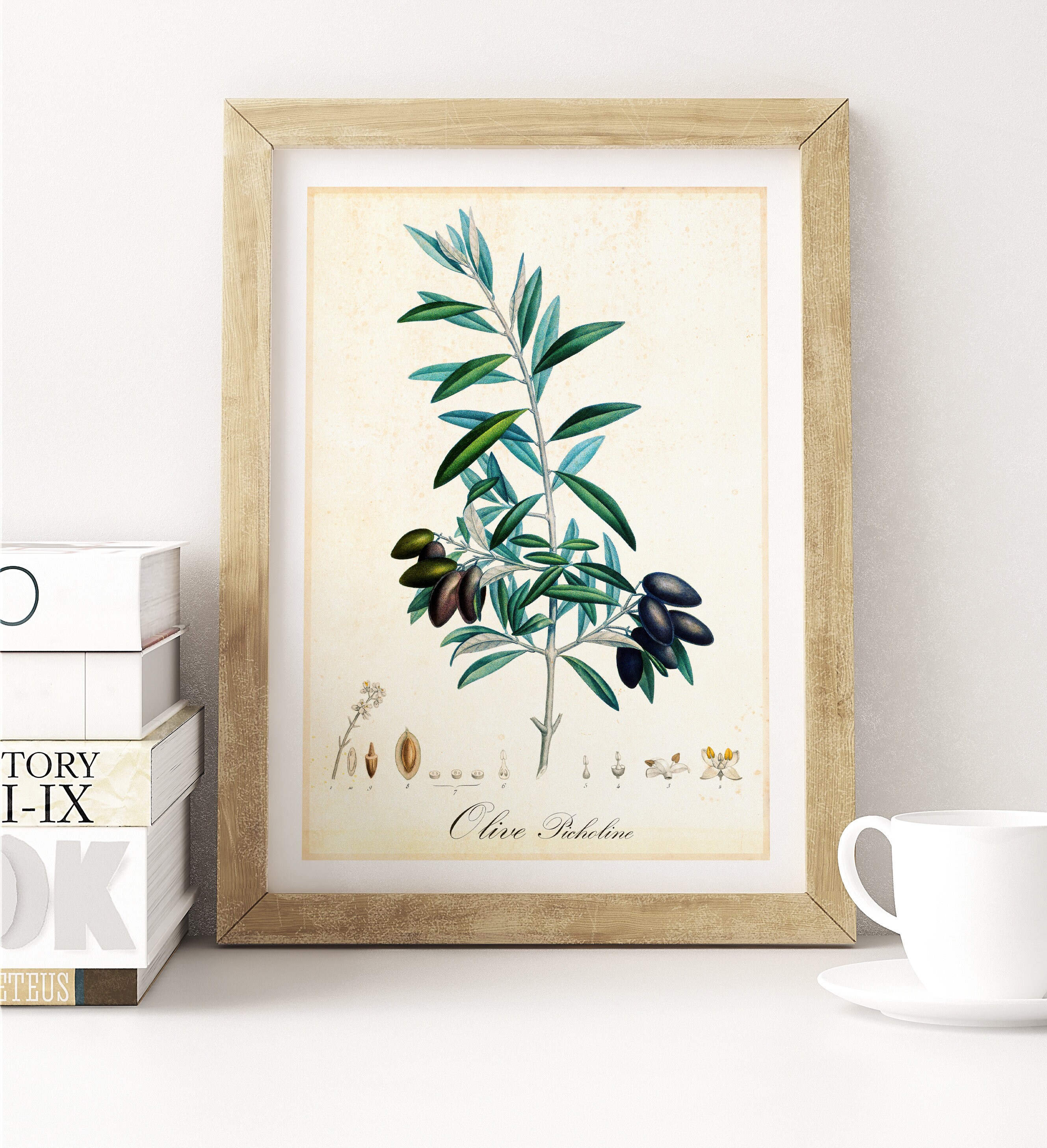 Wall Décor Olive Tree Print Vintage Botanical Printable Home & Living ...