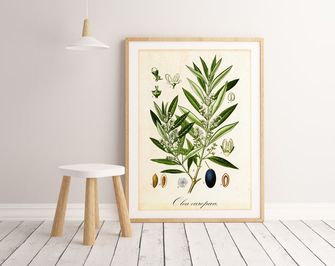 Olive Tree Painting, PRINTABLE ART, Muted Toned Art, Modern Organic Art ...