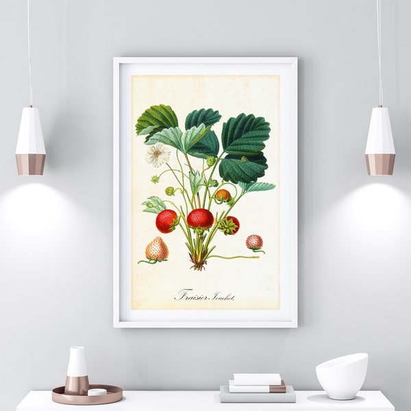 Strawberry Print - Etsy