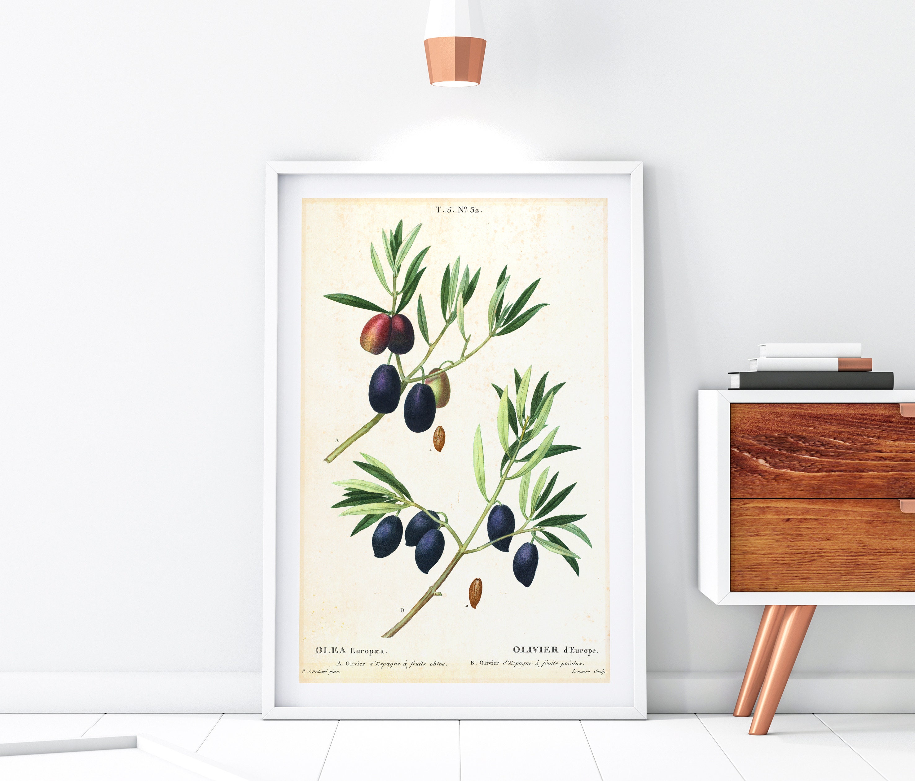 Set of 2 Olive Printable Wall Art Olive Tree Branch Botanical | Etsy