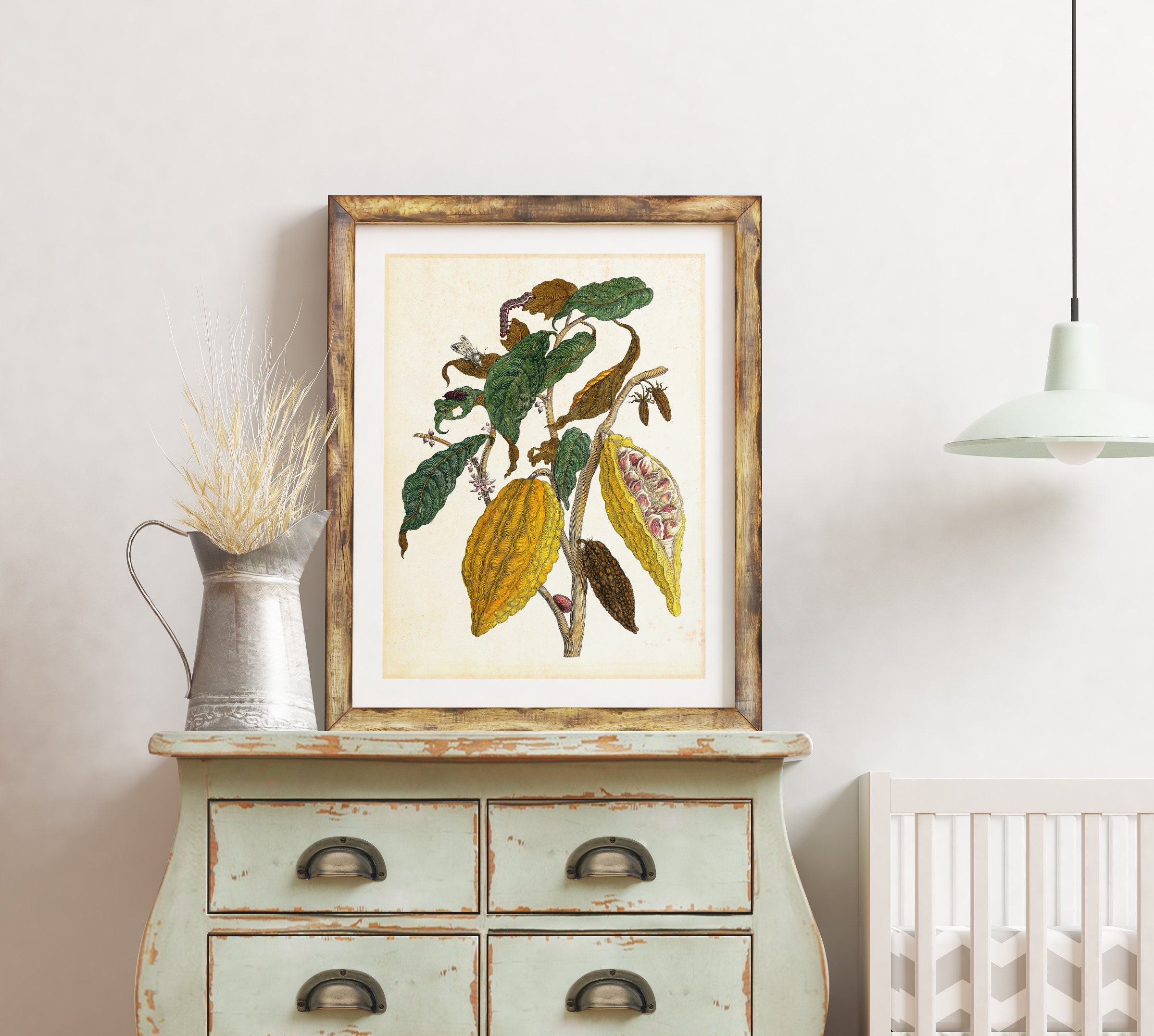 Cacao Giclee Art Print Vintage Botanical Cacao Tree Painting - Etsy