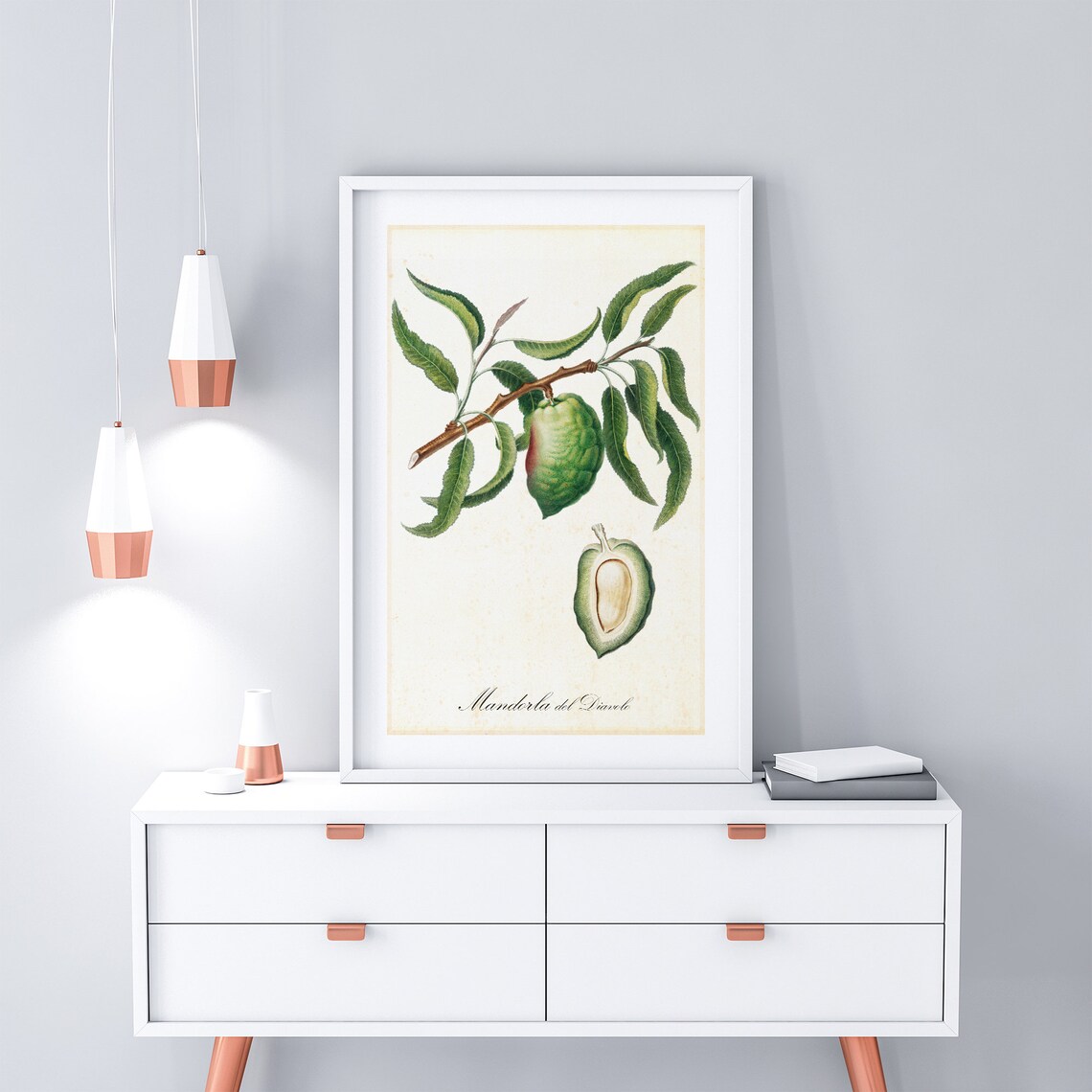 Almond Printable Wall Art Vintage Botanical Almond Tree | Etsy