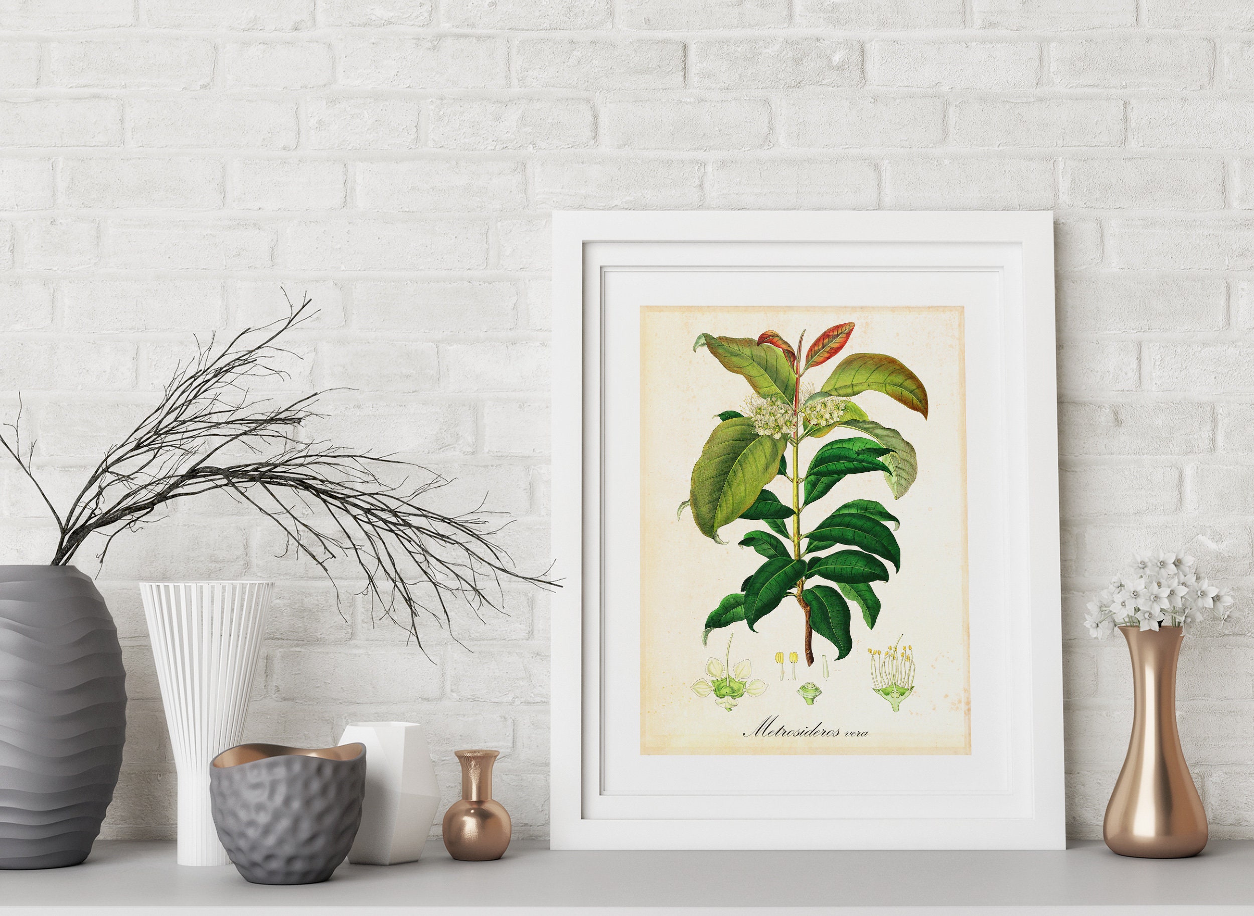 Ohia Tree Branch Printable Wall Art Vintage Botanical | Etsy