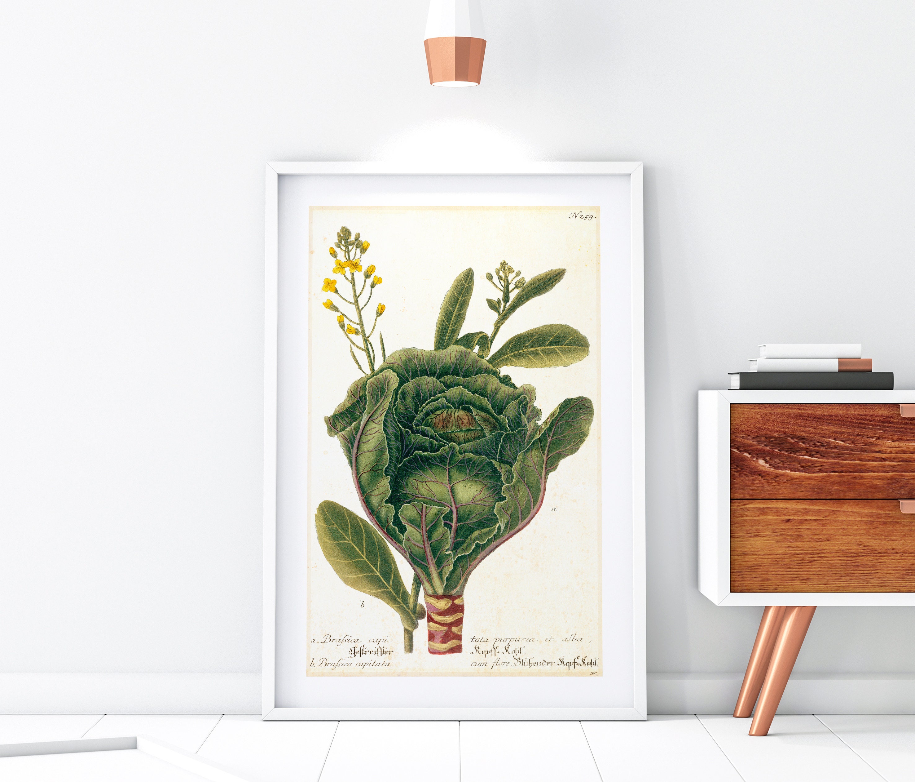 Cabbage Printable Wall Art, Vintage Botanical Cabbage Illustration ...