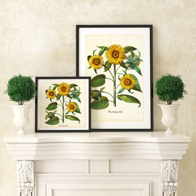 Sunflower Poster - Etsy