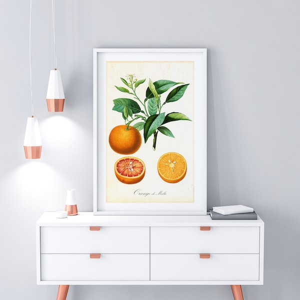 Citrus Print - Etsy