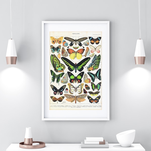 Papillon Painting - Etsy