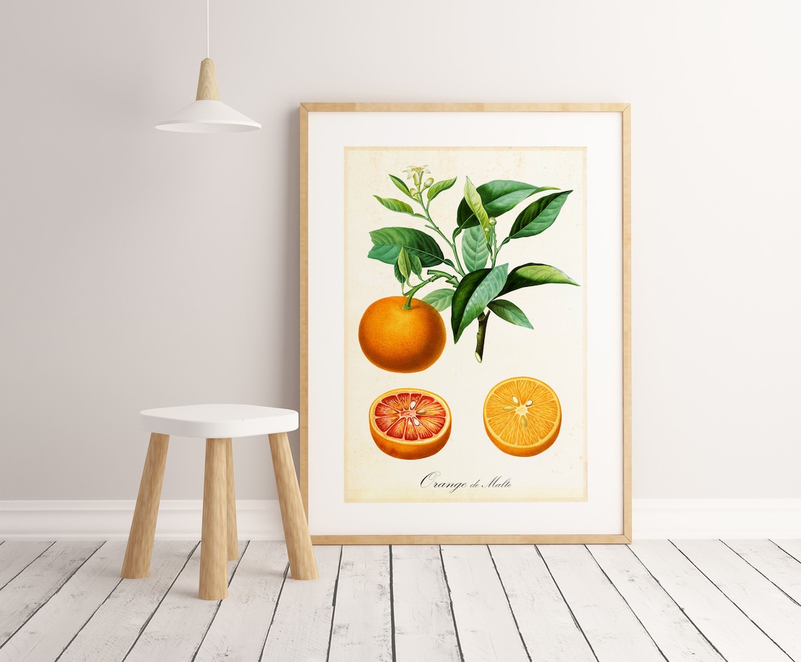 Orange Printable Wall Art Fruit Print Citrus Botanical | Etsy
