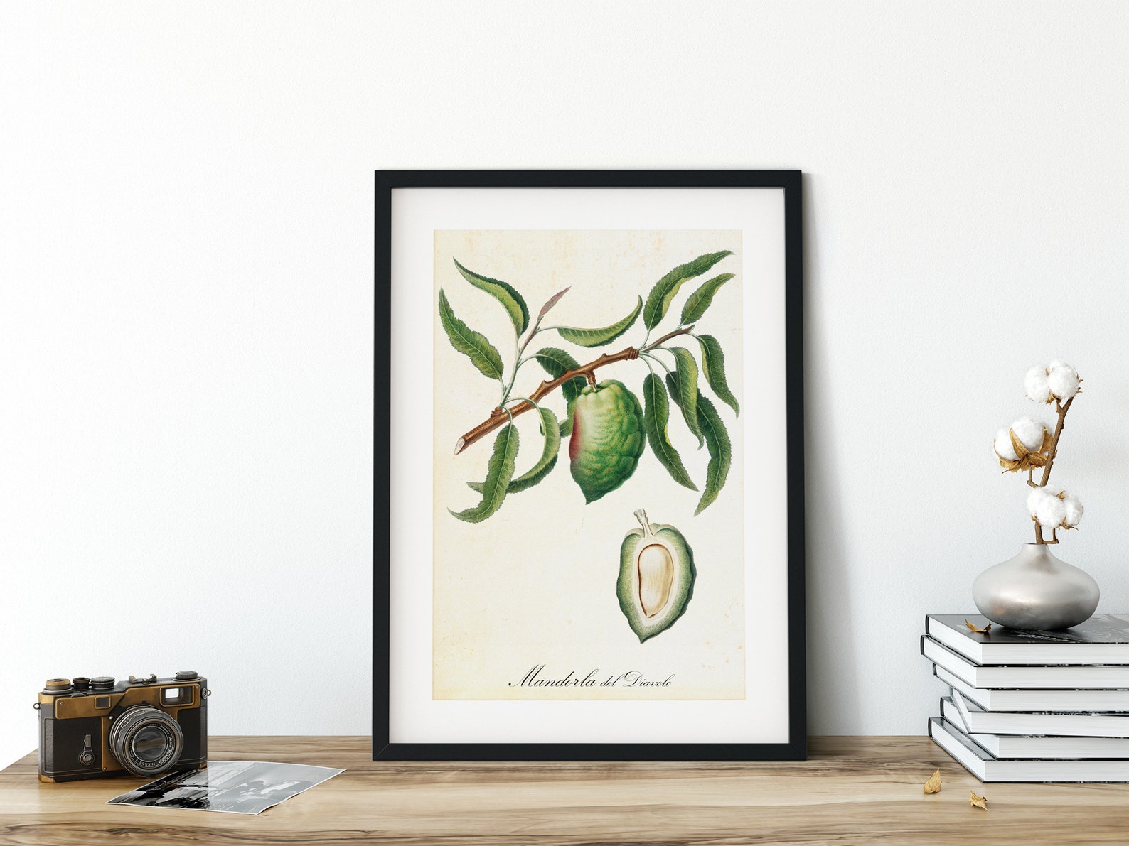 Almond Printable Wall Art Vintage Botanical Almond Tree | Etsy