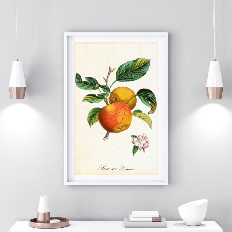 Botanical Prints - Etsy