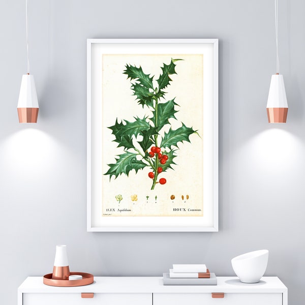 Holly Downloadable Print - Etsy