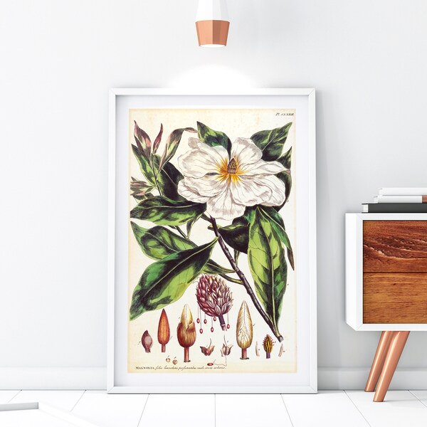 Magnolia Printable - Etsy