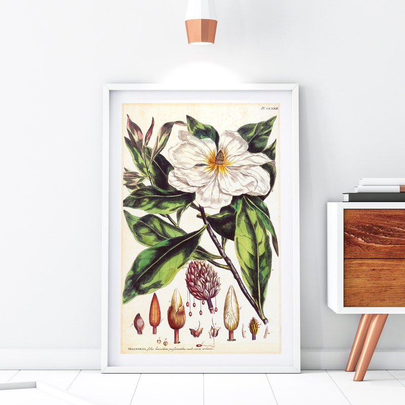 Magnolia Printable - Etsy
