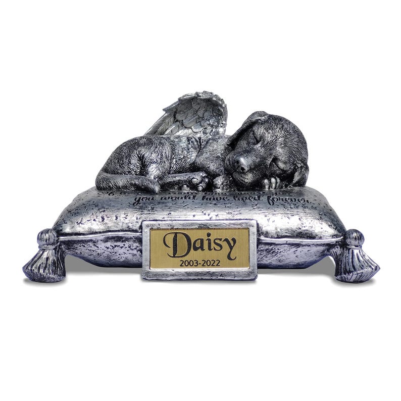 Pet Urns for Dogs Ashes - Memorial Angel Dog Urns for Ashes With ...
