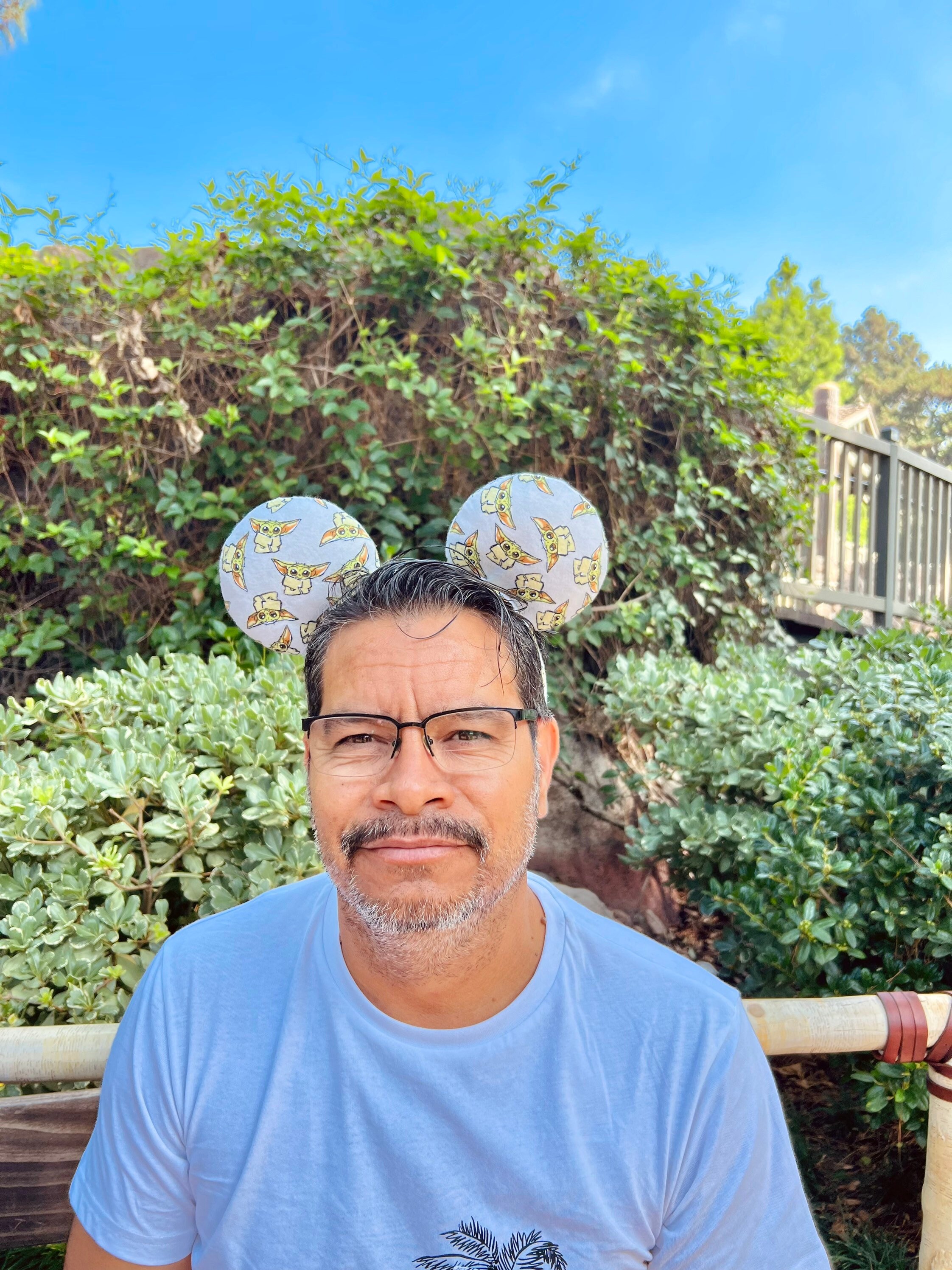 Star Wars Grogu Inspired Disney Ears - Etsy