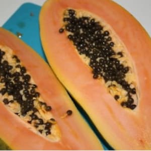RARE Red Royale Papaya 3 ,10 or 20 Seeds Combined Shipping (pay ...